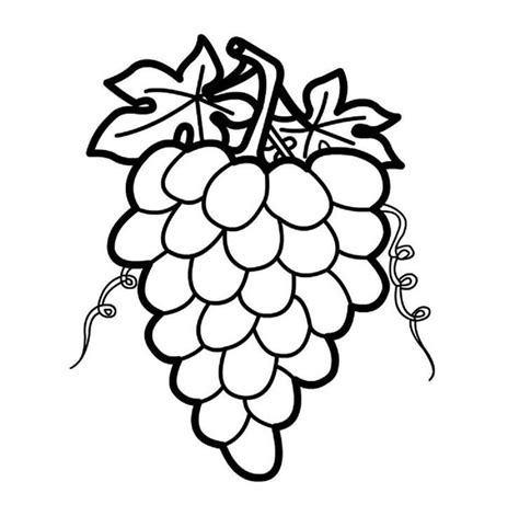 Dibujo Para Colorear Uvas Dibujos Para Imprimir Grati
