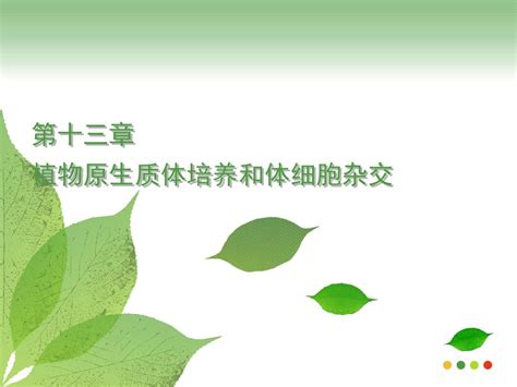 细胞工程植物原生质体培养和体细胞杂交 Word文档在线阅读与下载 无忧文档
