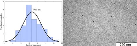 Tem Image And Particles Size Histogram Of Au Particles With A Nominal Download Scientific