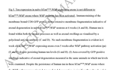 Tau Mediated Axonal Swellings Are Halted From Progressing Upon