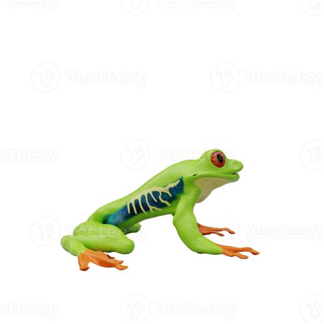 Red Eyed Tree Frog 22308446 Png
