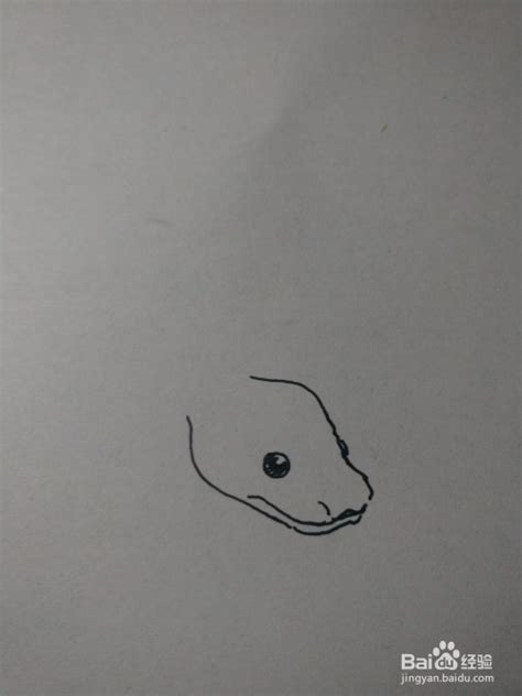 蟒蛇头画法蟒蛇的画法 伤感说说吧