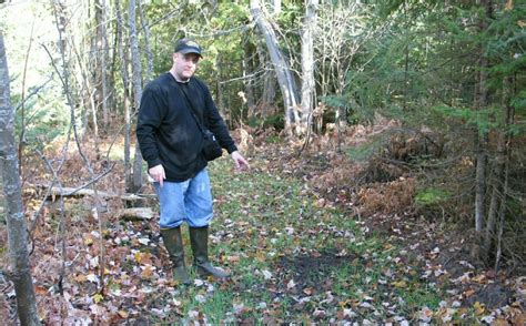 Best Kill Plot Shape Whitetail Habitat Solutions