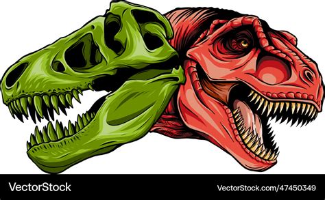 Tyrannosaurus Rex Royalty Free Vector Image Vectorstock