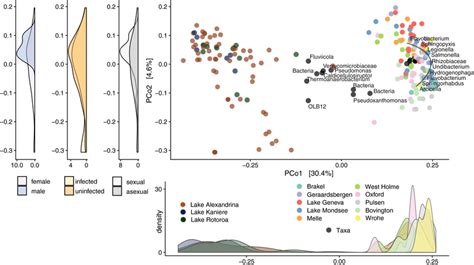 Snail Microbiota Ecosystem Clustering Biplot Pcoa On Unweighted