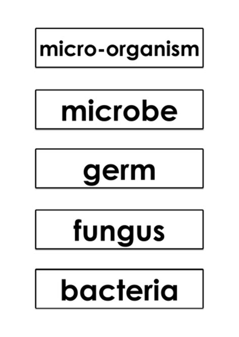 Sample Of 72 Science Keyword Displays Teaching Resources