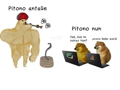 Pitono R Memeoj