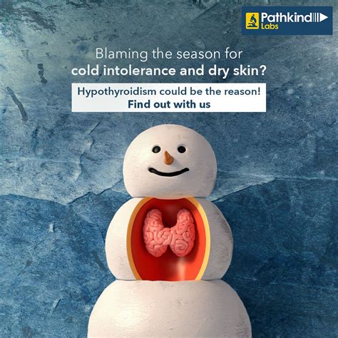 Pathkind Labs On Linkedin Hypothyroidism