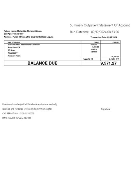 Bill Statement Zz Pdf