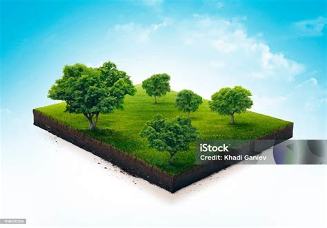 화이트에 고립 된 나무와 토양 슬라이스 녹색 풀밭의 3d 그림 3차원 형태에 대한 스톡 사진 및 기타 이미지 3차원 형태 멀리 떨어진 흙 Istock