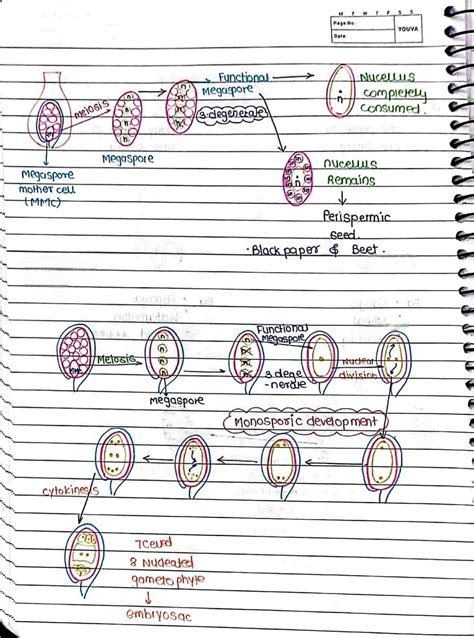 Sexual Reproduction In Flowering Handwritten Notes Shop Handwritten