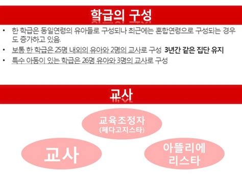 레지오에밀리아 접근법 보고서유아교육