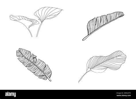 Line Texture Background In Vector Formate Style Square Box Composed Extendable Imppresive