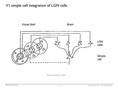 Nips2007 Sensory Coding And Hierarchical Representations Pdf