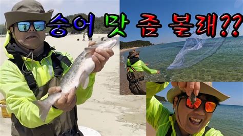 민물 투망 으로 바다에서 던지기 화진포 해수욕장 Youtube