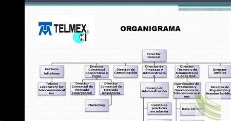 TIPOS DE ORGANIGRAMAS