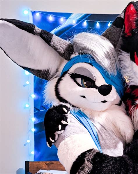 Feisty Fennec 💥 Loose Cannon💥 On Twitter We May Not Look Alike But I