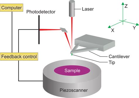 Diagram Of Atomic Force Microscope In Contact Mode Source