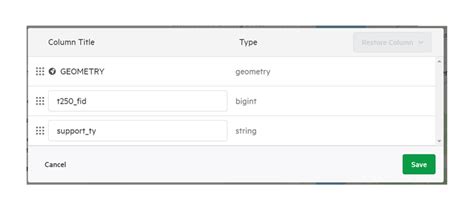 Edit Attribute Columns During Import Or Update Koordinates Help And Support