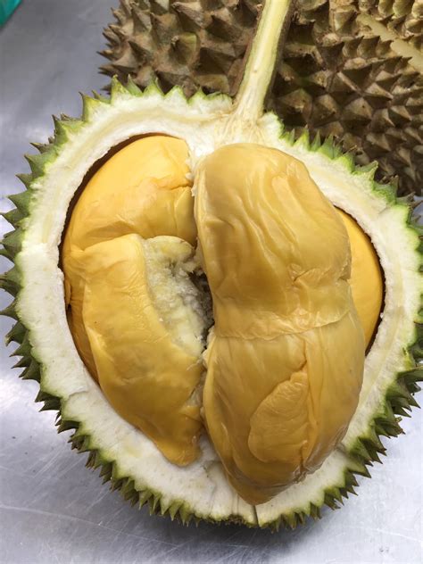 Best Durian Singapore