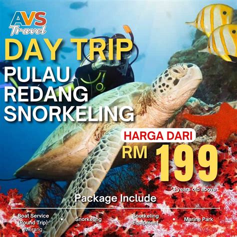 Day Trip Pulau Redang Snorkeling Avs Travel