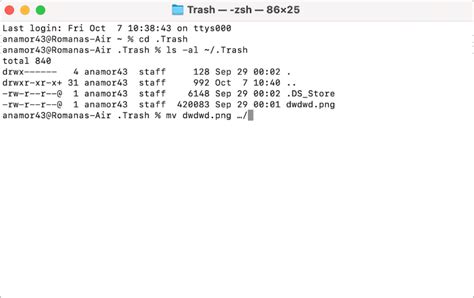 common techniques to recover deleted files using mac terminal 2025