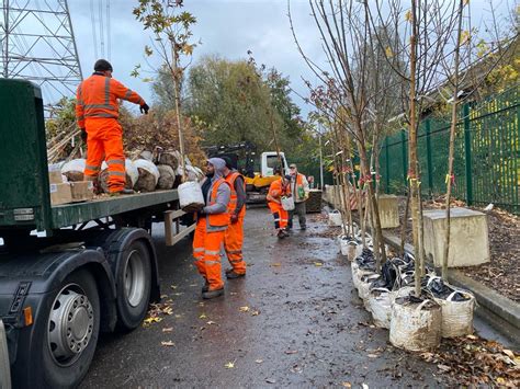 Trees For Tree Week Birmingham TreePeople