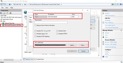 setting up business central on premise bc 230 on a virtual machine