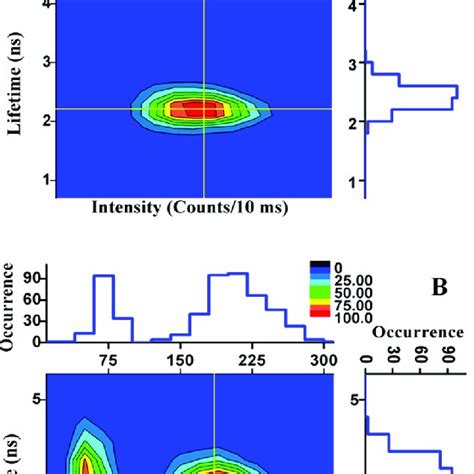 Correlated Variations Of Fluorescence Intensity And Fluorescence Decay