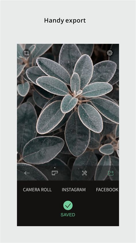 Rni Films App For Iphone Now Supports Raw Format