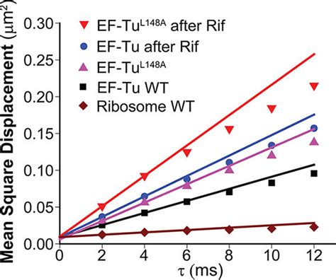 Mean Square Displacement Msd Plots For Wt Ef Tu The Mutant Form