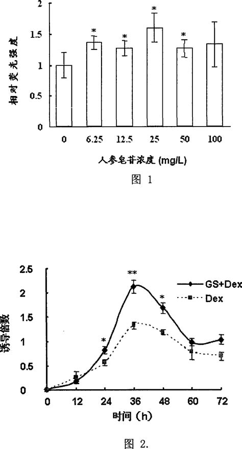 Glucocorticoid Synergist Eureka Patsnap