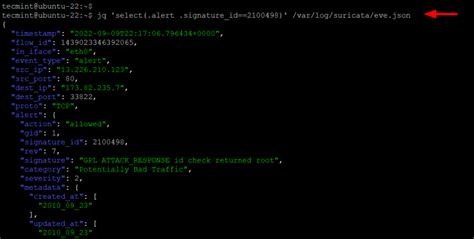 Suricata Intrusion Detection And Prevention Security Tool