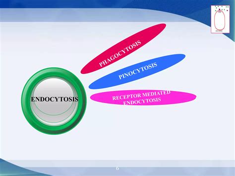 Receptor Mediated Endocytosis Pptx