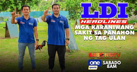 Mga Karaniwang Sakit Ng Manok Tuwing Tag Ulan Sabongtv