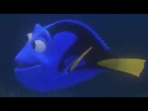 Dory Finding Hank Wikia Fandom