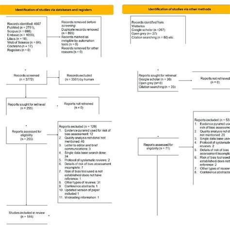 Prisma 2020 Flowchart Including Searches Of Databases Registers And