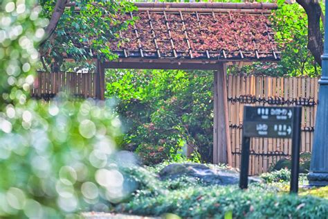 2023 12 16 栃木県中央公園 2 By Susu T （id：12149625） 写真共有サイト Photohito