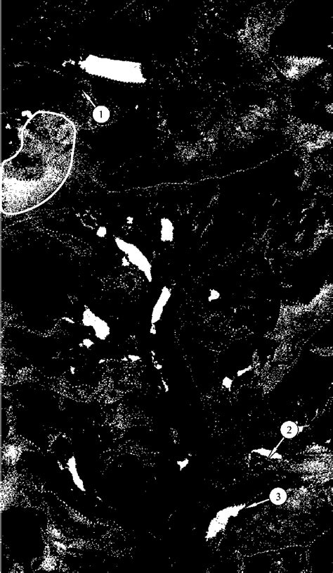 Classification Result By Ndwi Method Download Scientific Diagram