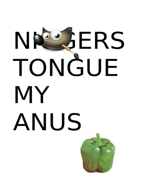 Niggers Pdf