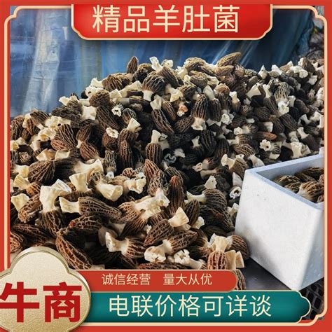 羊肚菌批发 黑龙江哈尔滨南岗区羊肚菌 80 00元 斤羊肚菌 一亩田