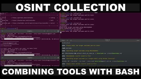 Osint Collection Combining Multiple Cli Tools With Bash Scripts Youtube