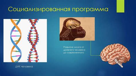 Взаимодействие биологических и социальных факторов - презентация онлайн