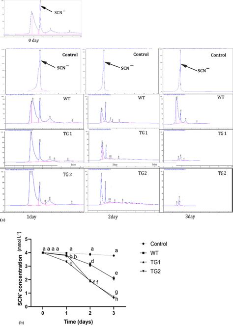Residue Analysis Of Guanidine Thiocyanate By Hplc Wt And Transgenic