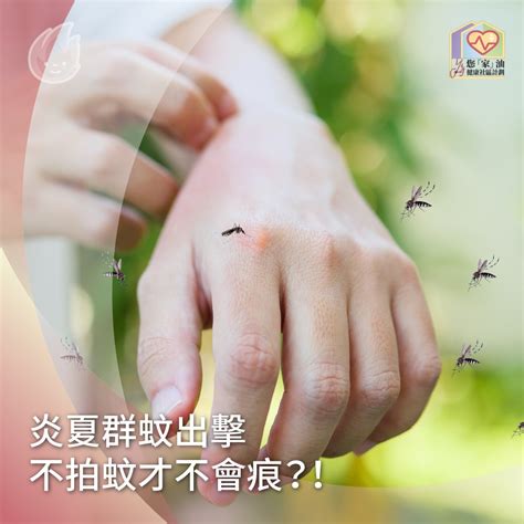 循道衛理楊震社會服務處 【趣味分享】炎夏群蚊出擊 不拍蚊才不會痕？！