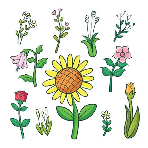 Colección De Flores Dibujadas A Mano 1 9459221 Vector En Vecteezy