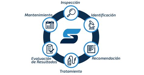 Fumigación Control de plagas Servicios Salper SRL