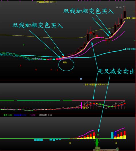 捉妖利器强化版黑马牛股龙头主升浪大单资金强势连续涨停预警翔博软件