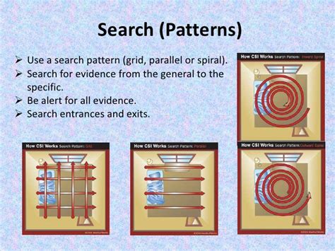 Crime Scene Management