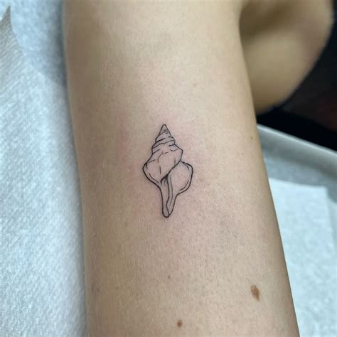 Custom Fineline Seashell ˚⋆𓇼˚⊹🐚 ⁺｡°⋆ Using… Magicmoon Tattoo Supply 5rl 3rl Dynamiccolor
